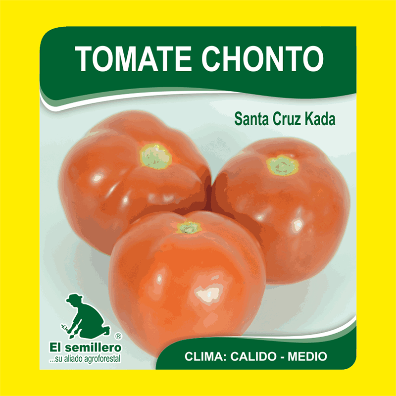 TOMATE CHONTO SANTA CRUZ KADA (SEMILLA) | El Semillero SAS